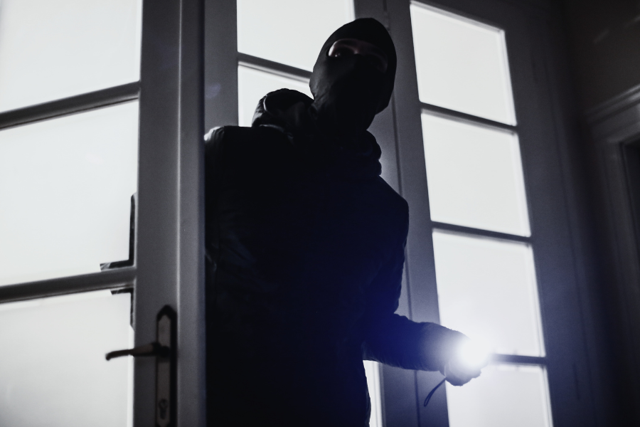Home Burglar Reality: 7 Facts You Need to Know — TheRooYorker