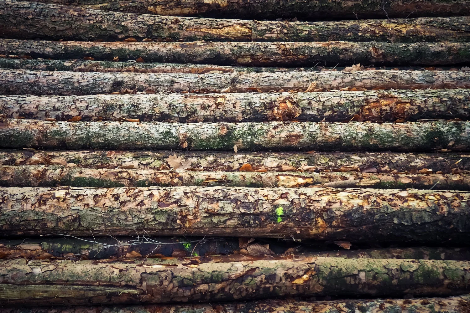 Level-Setting Presentations — Climate-Smart Forestry.org