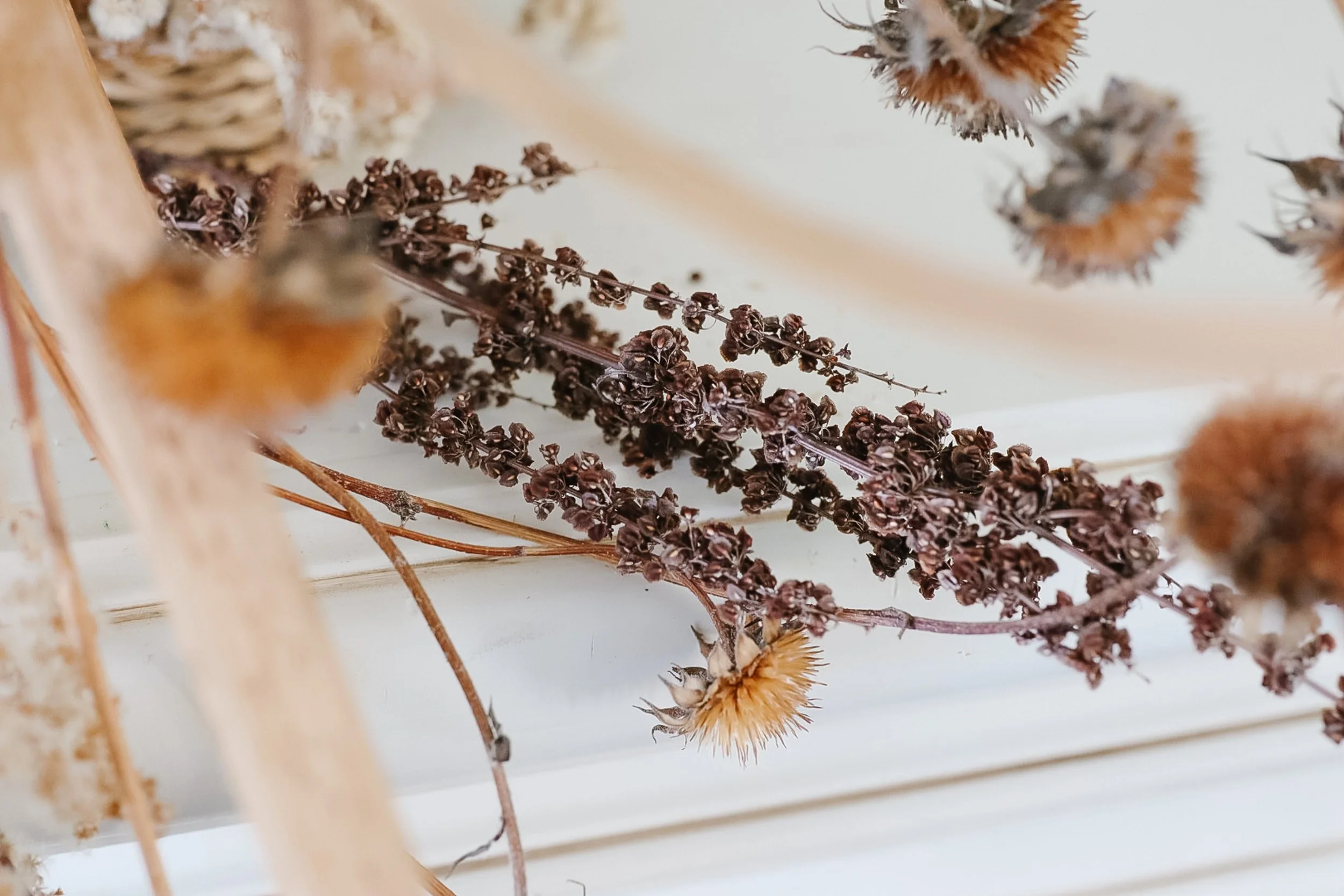 Foraged Arrangement — Silvertooth Home