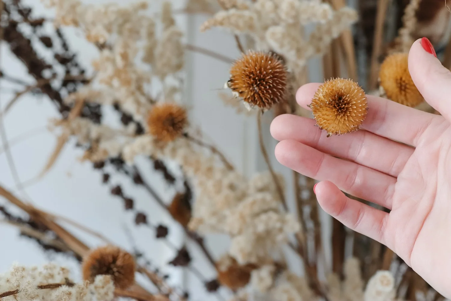 Foraged Arrangement — Silvertooth Home