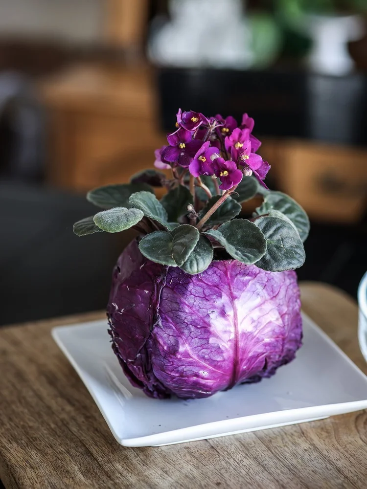 Cabbage Vase — Silvertooth Home