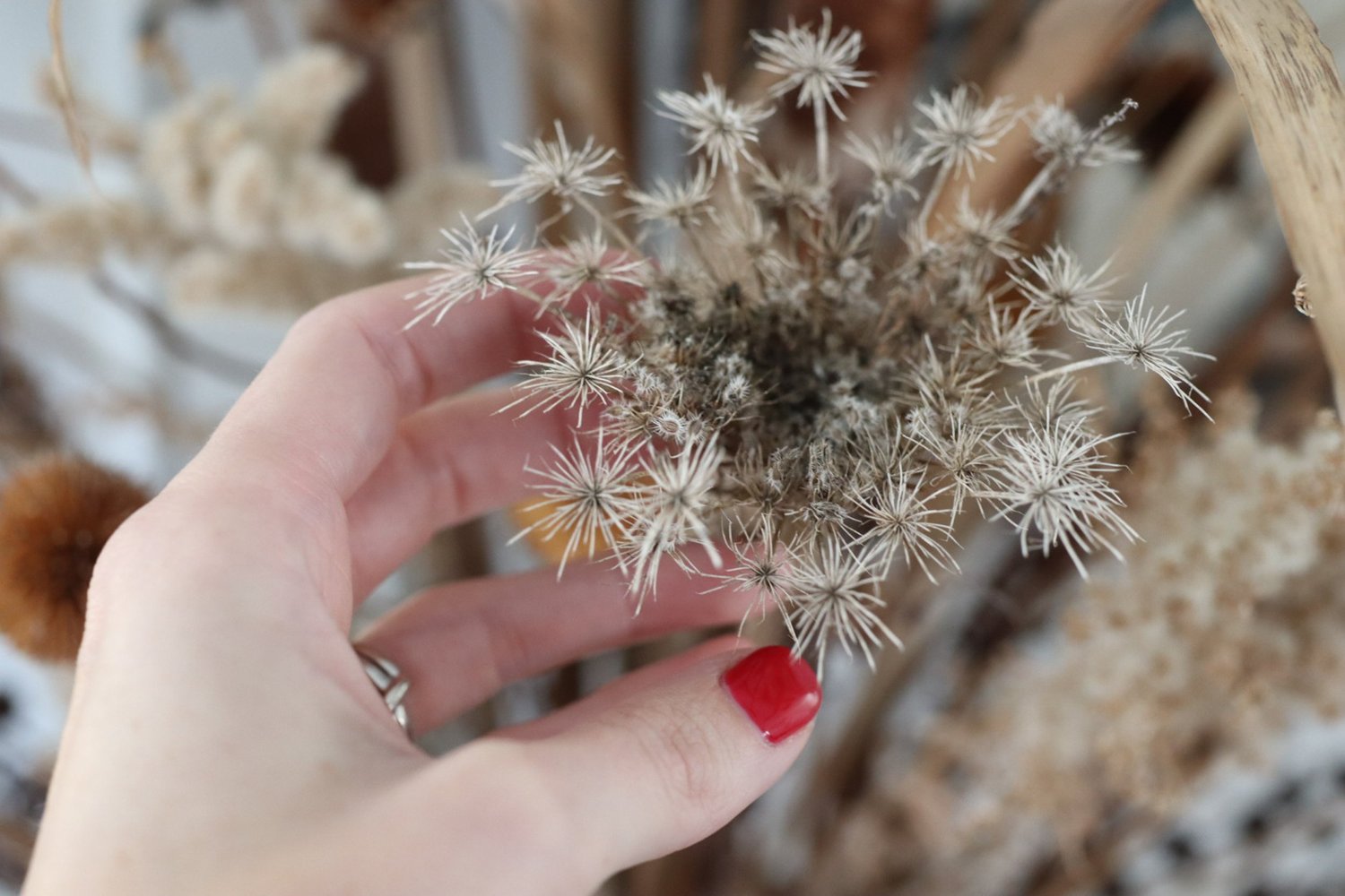 Foraged Arrangement — Silvertooth Home