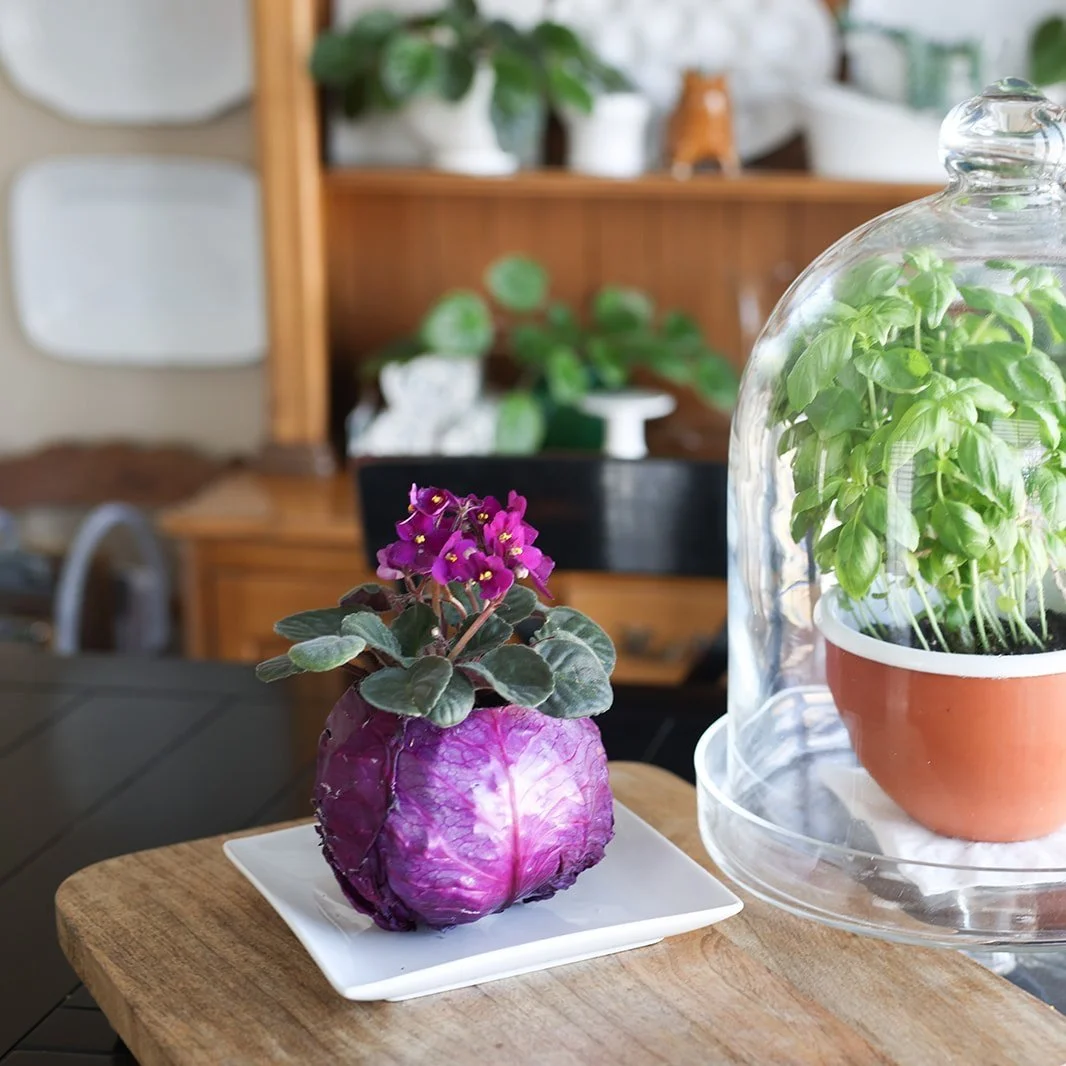 Cabbage Vase — Silvertooth Home