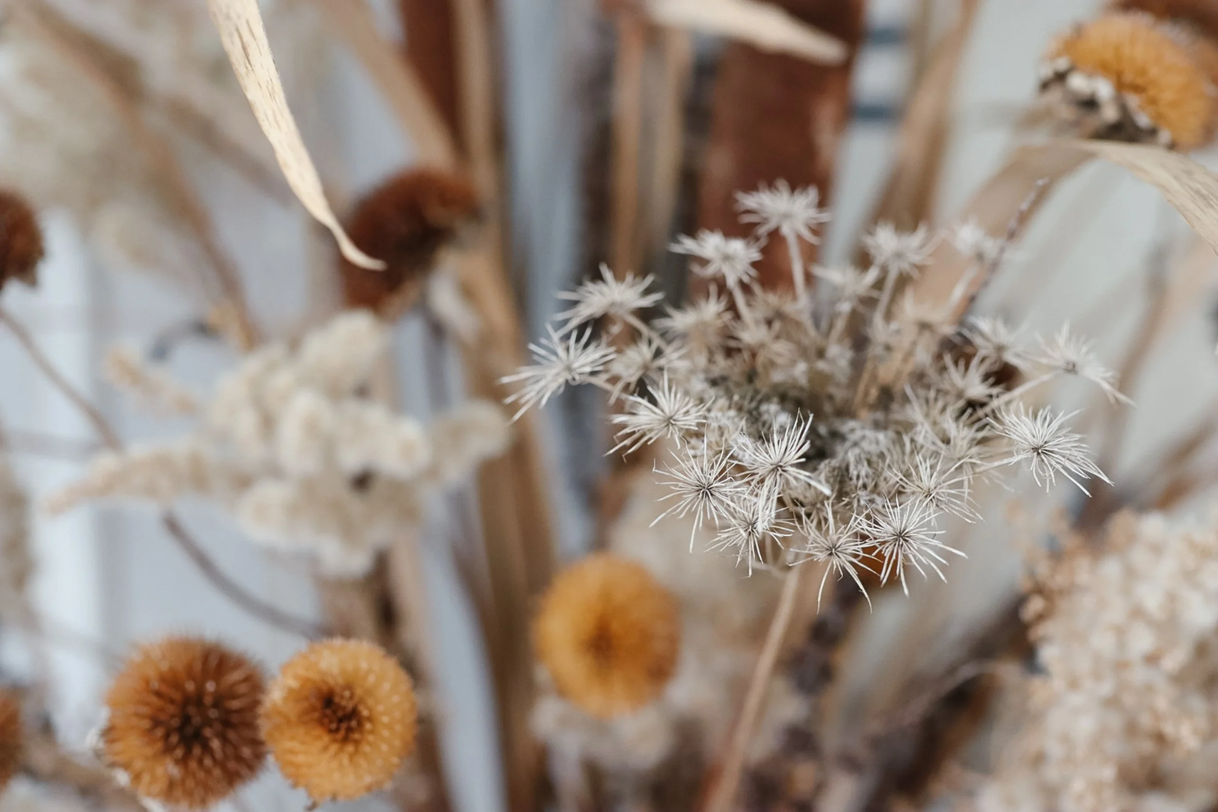 Foraged Arrangement — Silvertooth Home