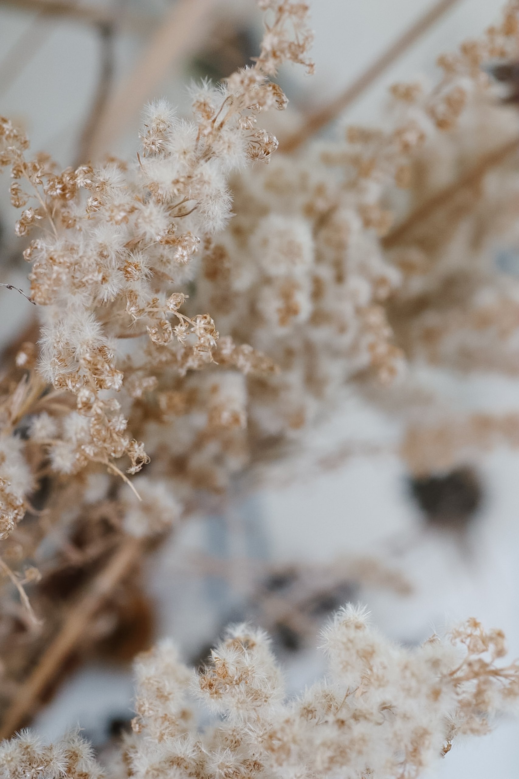 Foraged Arrangement — Silvertooth Home
