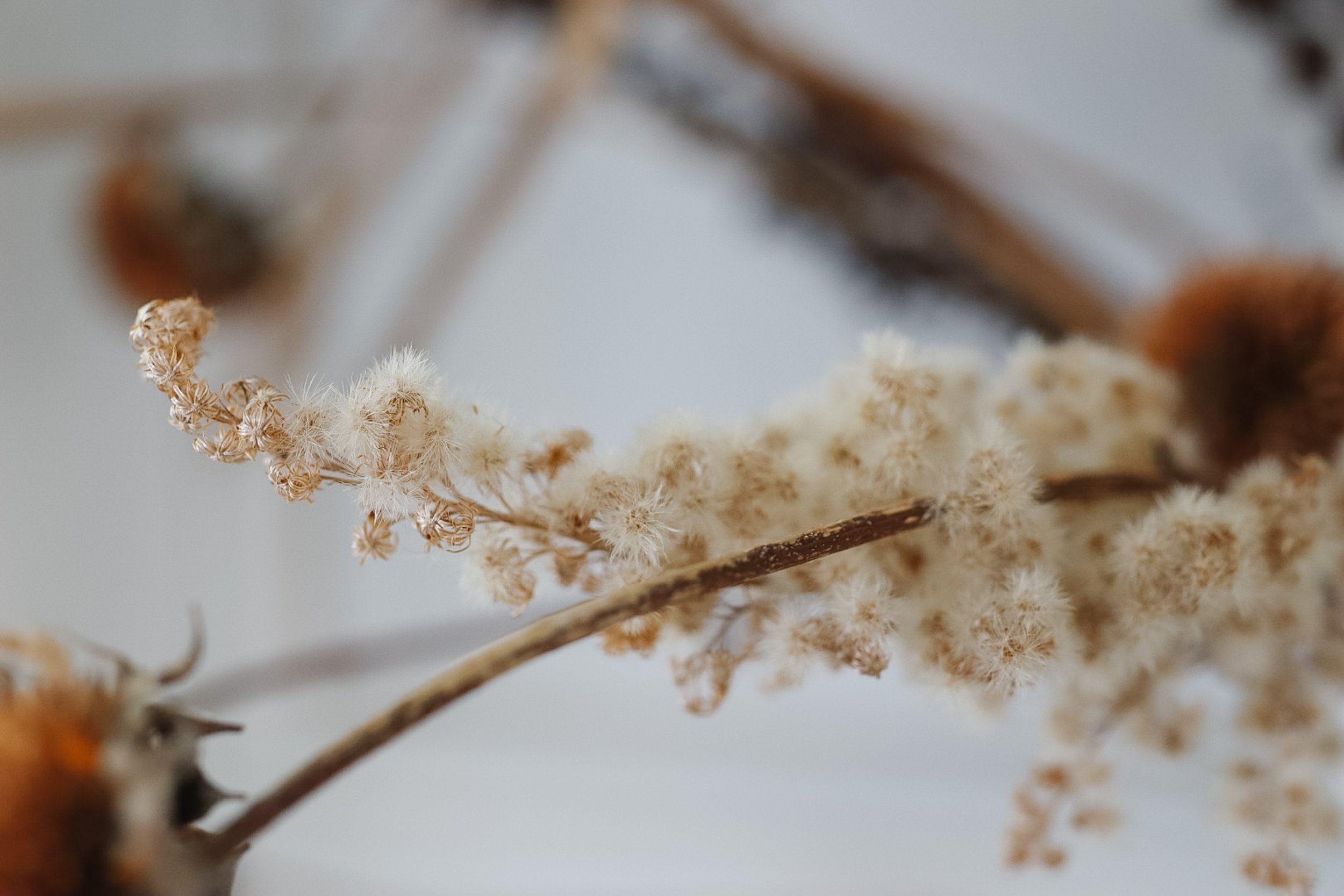 Foraged Arrangement — Silvertooth Home