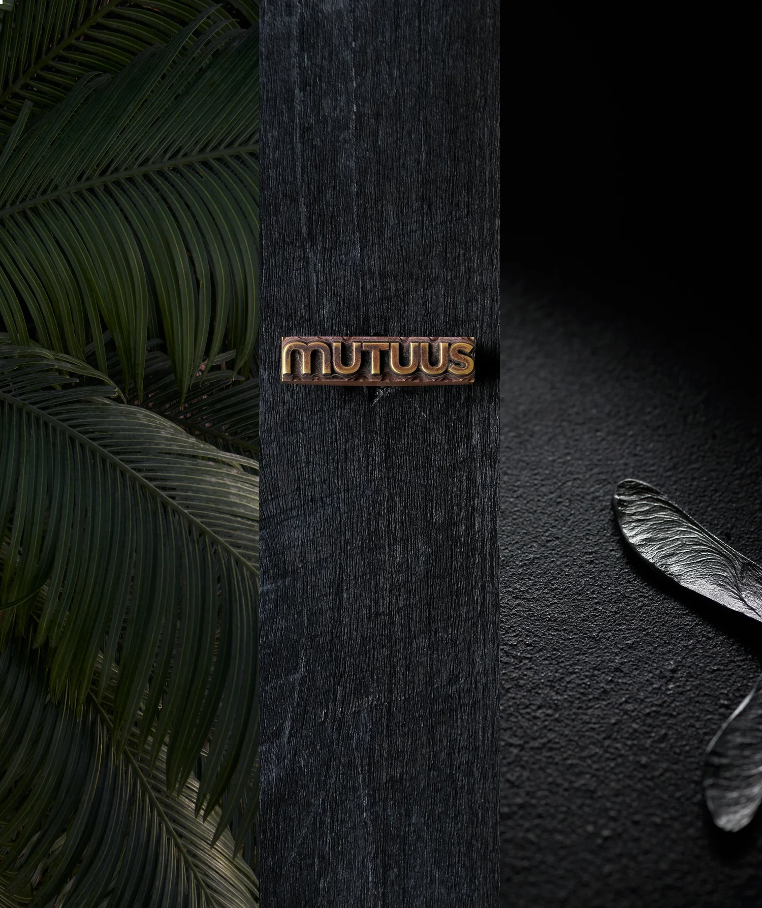 CONTACT | Mutuus