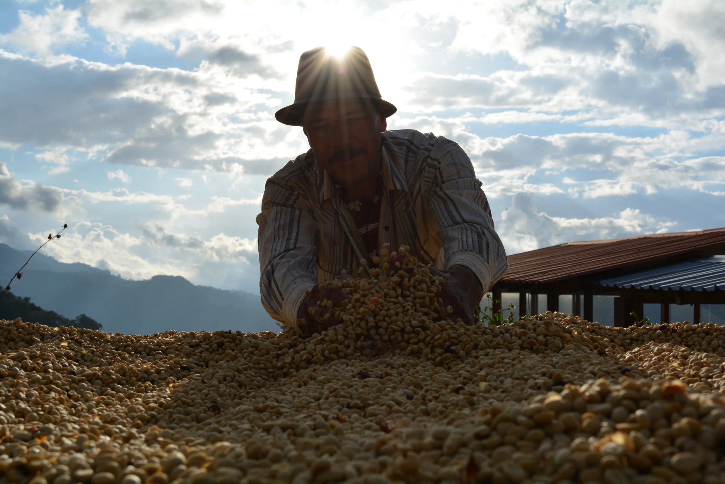 ONDA ORIGINS FLAGSHIP COFFEE SHOP | Mutuus