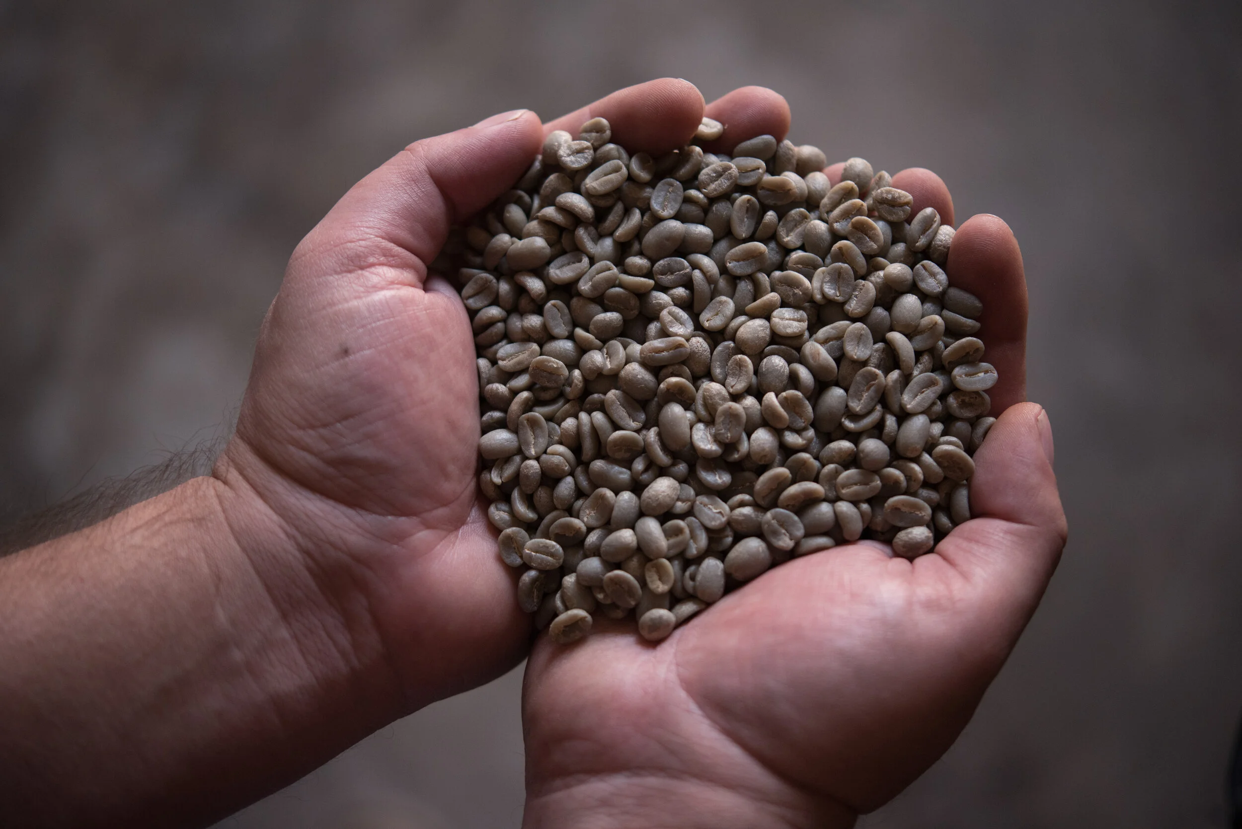 ONDA ORIGINS FLAGSHIP COFFEE SHOP | Mutuus