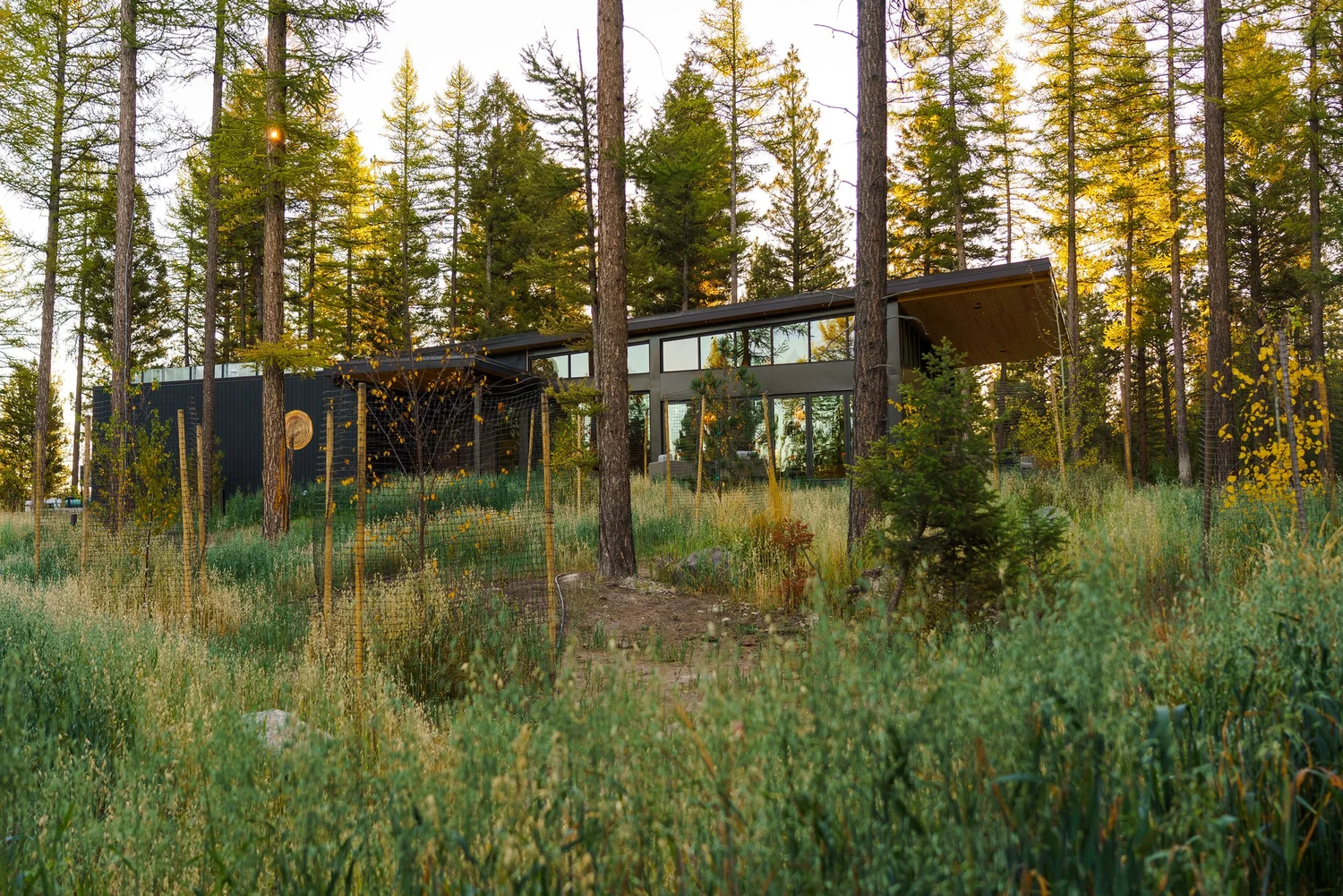 SOCIAL HAUS | Mutuus