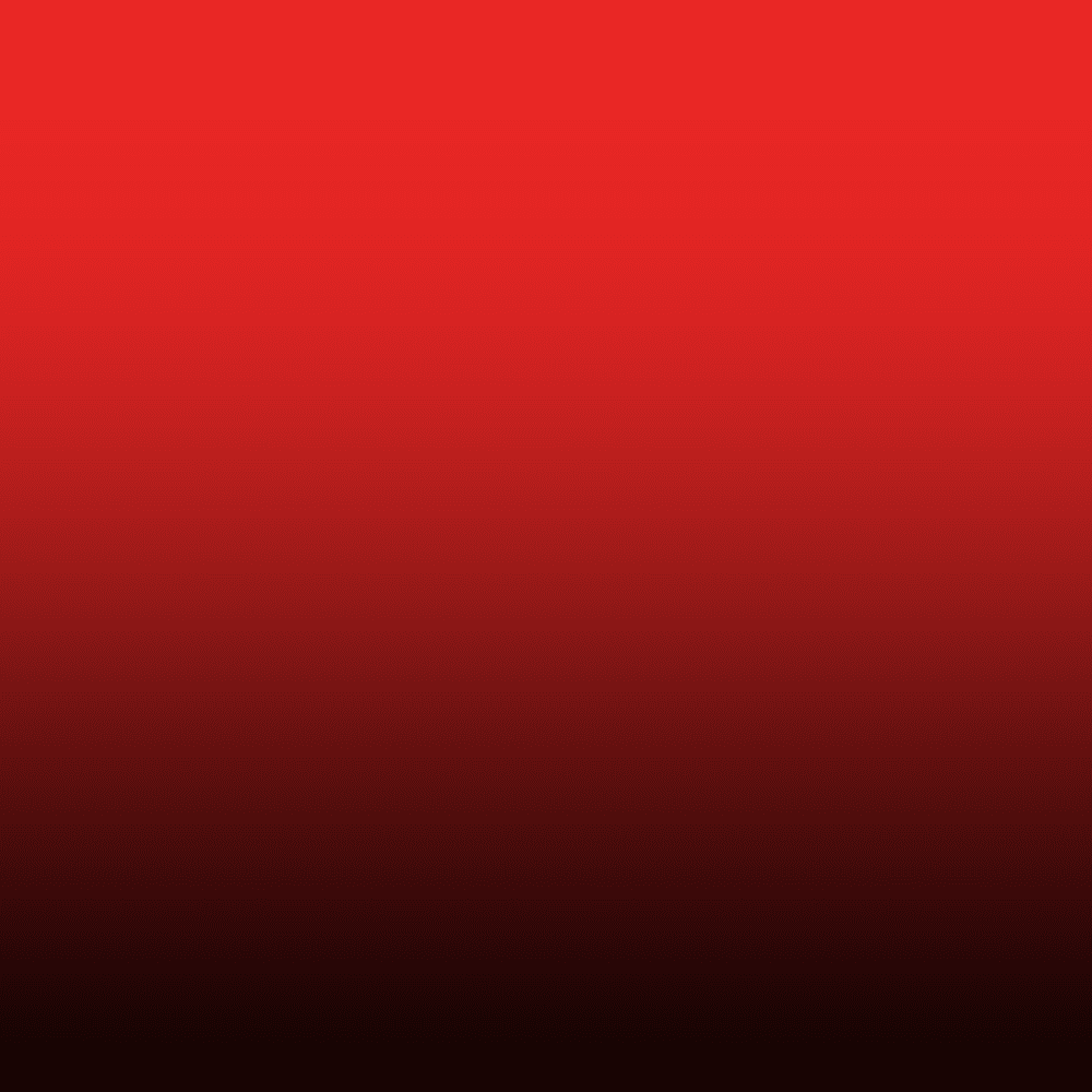 ABOUT THE BAND — VIAL