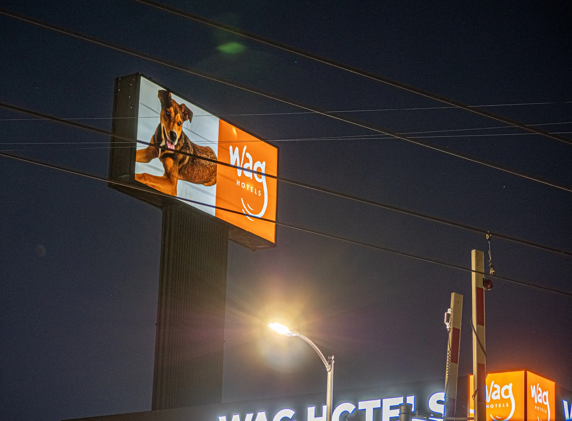 Wag Hotels — Tyko Sign Group