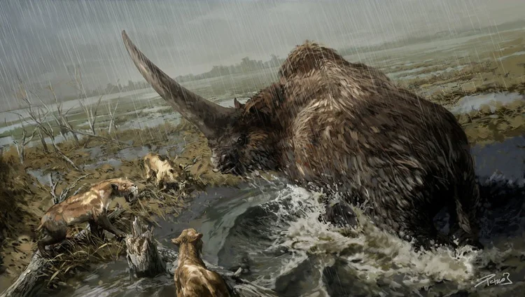 ‘Siberian unicorn’ walked Earth with humans