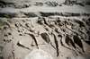 80 Shackled Skeletons Found in Greek Grave After Ancient Mass Execution