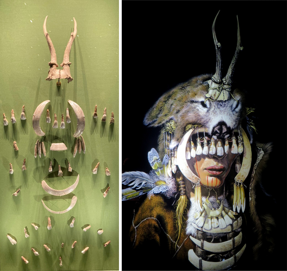 The 9000 Year-Old Shaman of Bad Dürrenberg: A Window into Mesolithic Europe