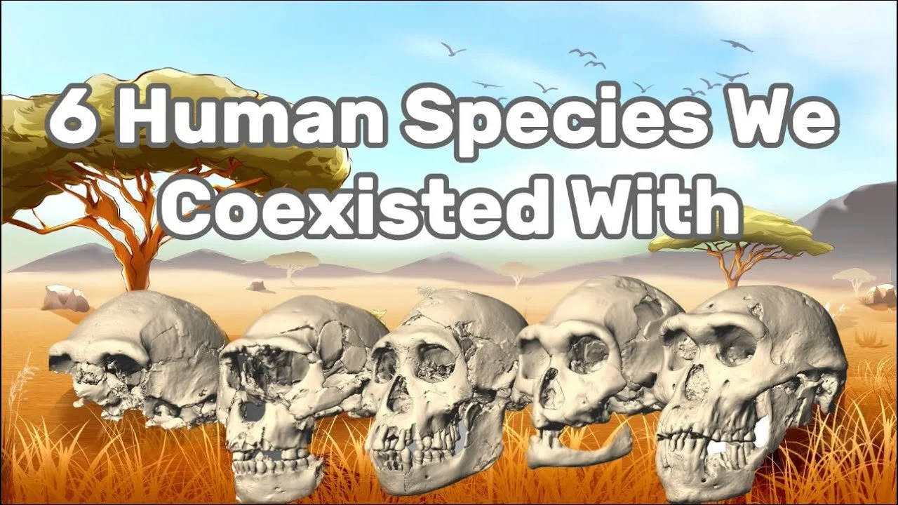 6 Ancient Human Species We Once Co-Existed With