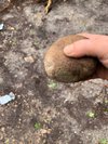 Rare Stone Age find in the middle of Norway