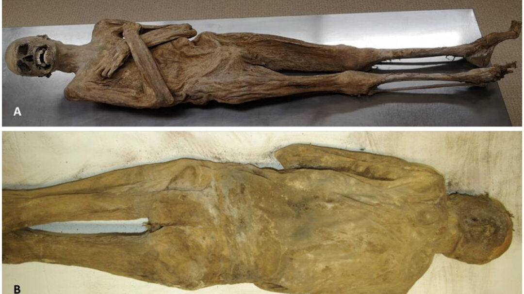 Scientists Solve the Mystery of the Alpine Mummy