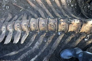 The headless skeleton of a 20 ft long sea monster that went extinct in ...