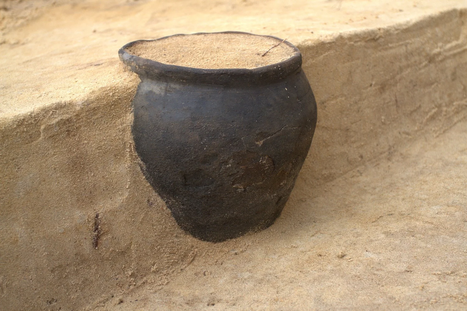 Ancient jewelry and gothic burials were discovered in a Polish forest