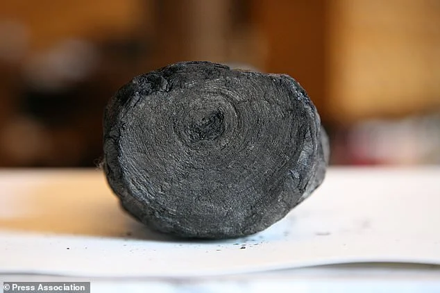The 2,000-year-old Herculaneum scrolls might have belonged to Julius ...