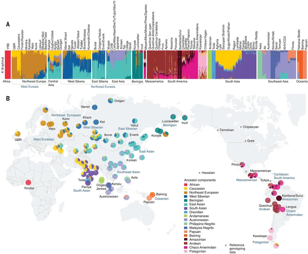Tracing the First Americans: New DNA Study Reveals Epic Migration from ...