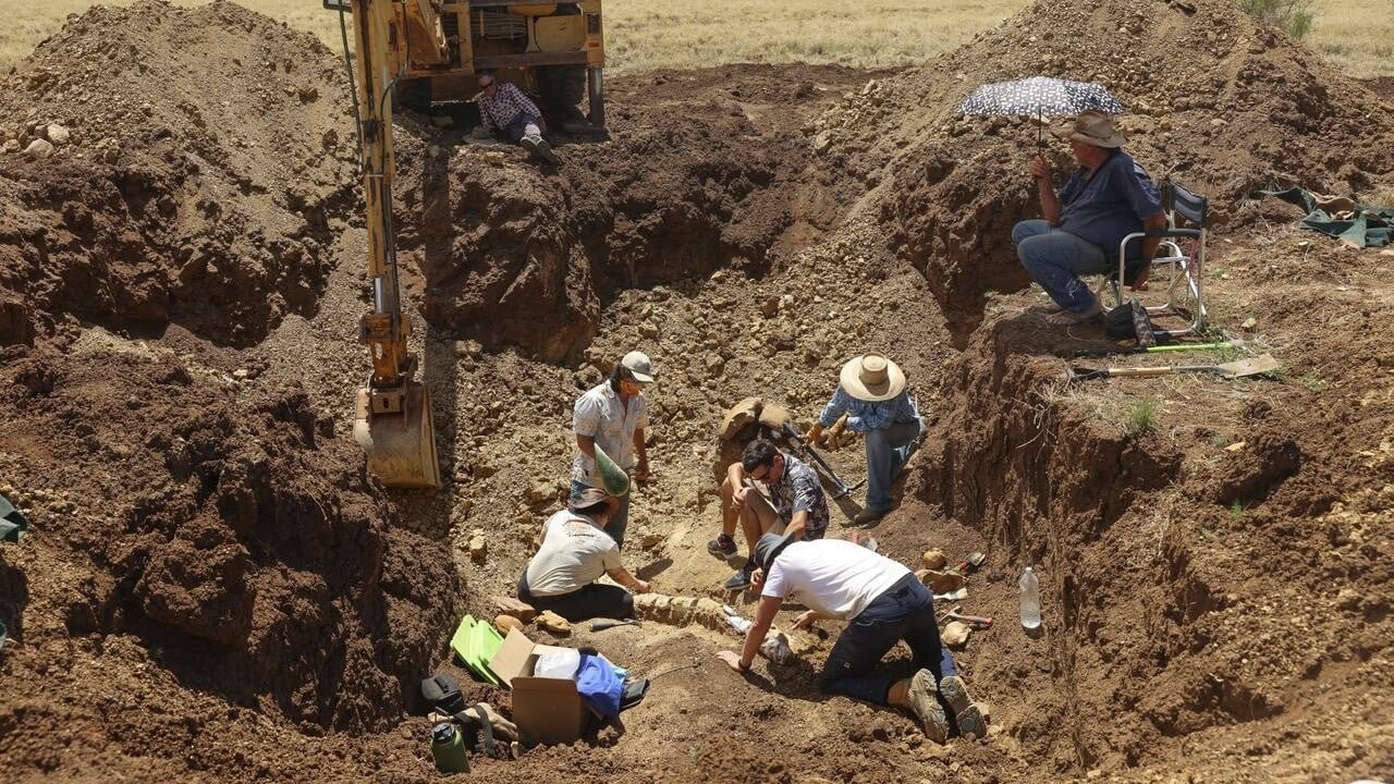 100 million-year-old marine reptile skeleton discovered - May 'unlock ...
