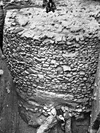 Tower of Jericho: One Of The Earliest Stone Monuments Of Humanity