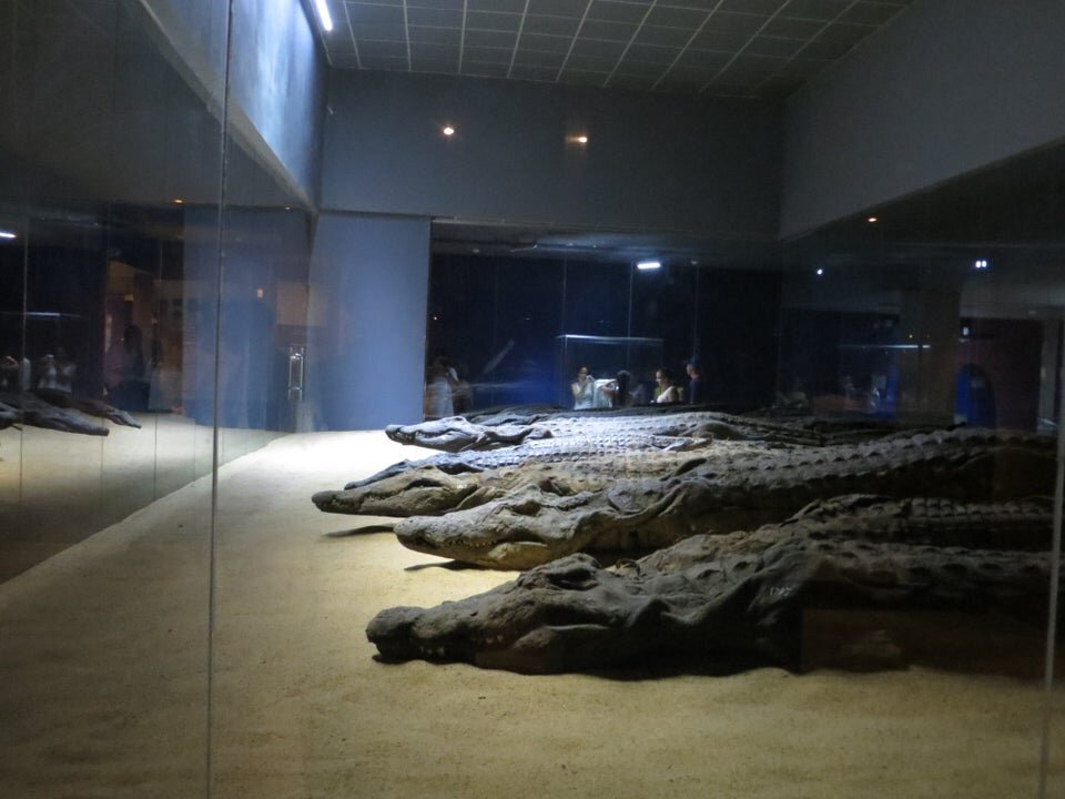 Secrets of the Dead: Temple of Kom Ombo & Crocodile Museum
