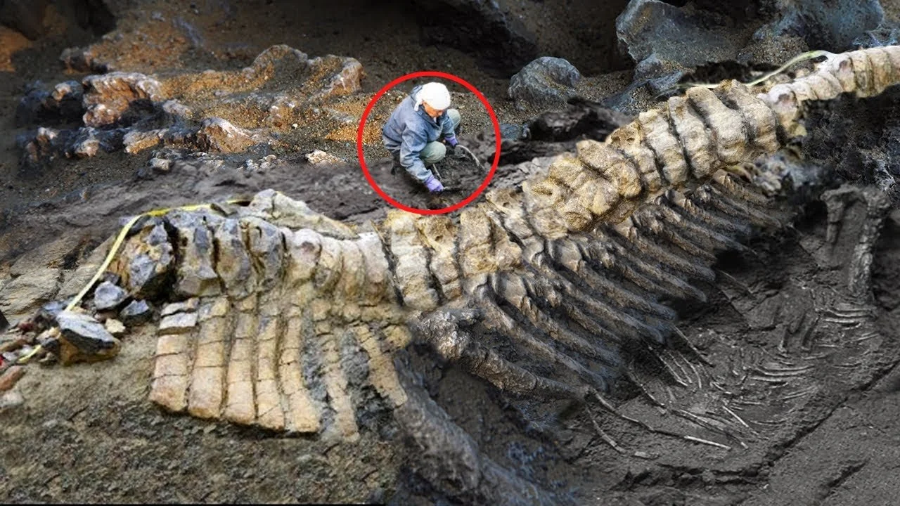 Most Incredible Recent Archaeological Discoveries!