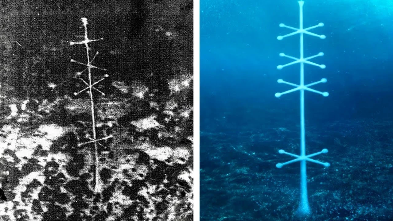 New Discovery on the Edge of Antarctica That Scares Scientists!