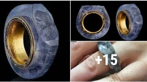 Timeline of Human Evolution