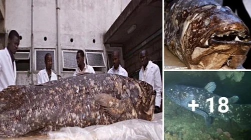 Maya Religion Explained