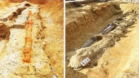 12 Most Amazing Treasures Found Recently