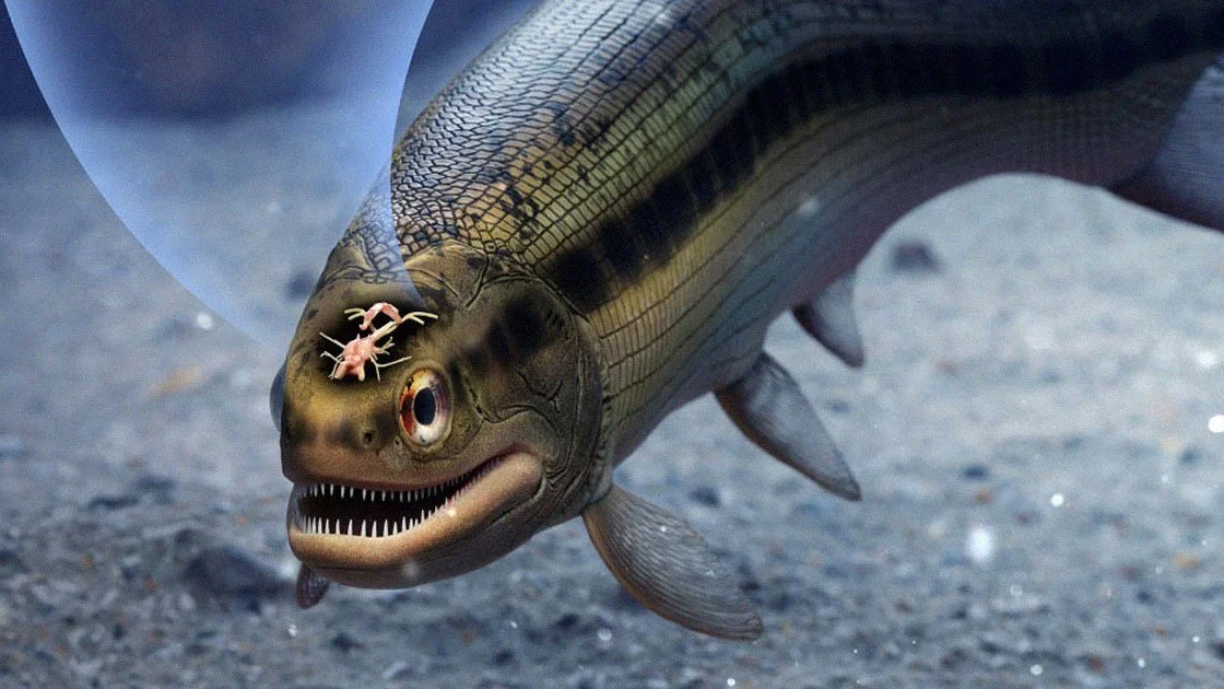 The Sedeinga Pyramids