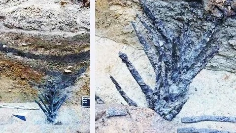 12 Most Amazing Archaeological Discoveries