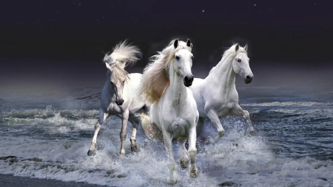 Dior Men Fall 2023 Show at the great pyramids of Giza looks insane and legendary (Photo album)