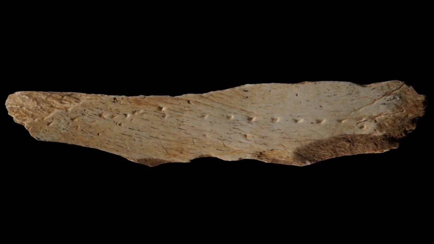 This 800 Year Old Mysterious Artifact Was Accidentally Discovered and ...