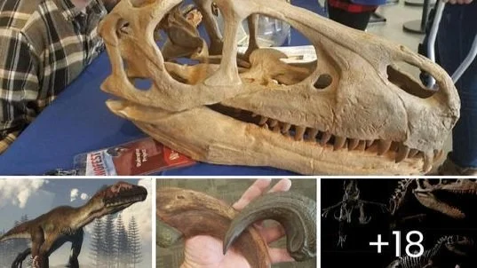 11 Scariest Prehistoric Bugs