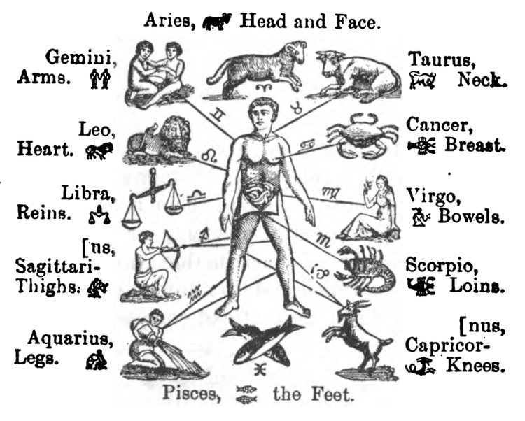 The Role of Astrology in Ancient Mesopotamian Society