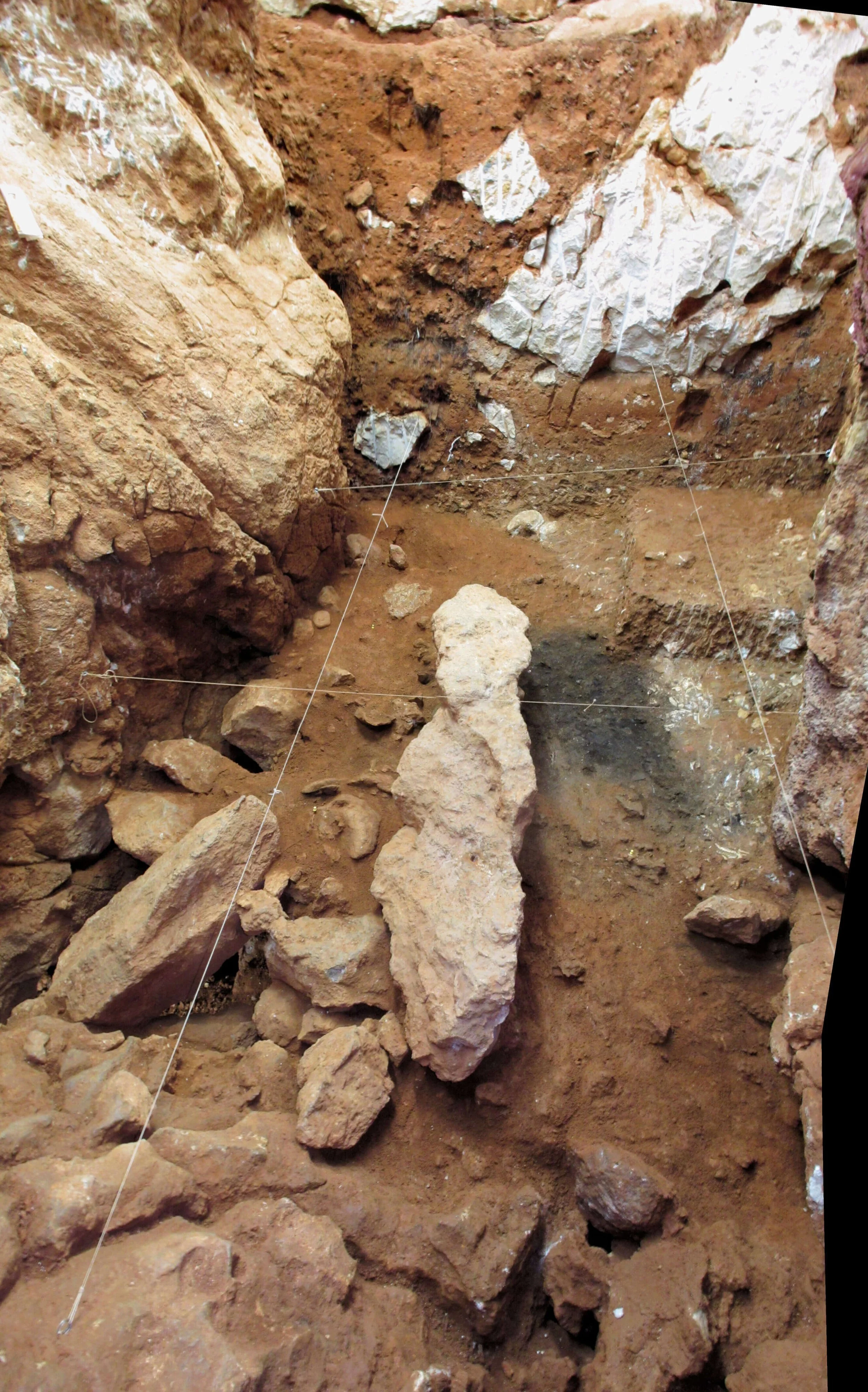 Uncovering Neanderthal Culinary Intelligence: Evidence from ...