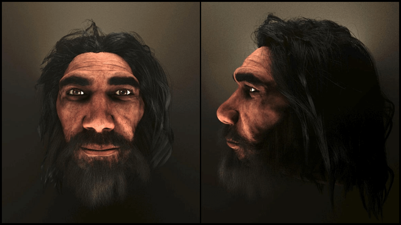 Scientists Reconstruct the Face of Homo Heidelbergensis: A Glimpse into ...
