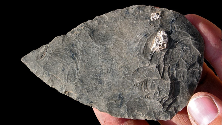 Ancient Landscape Reveals Bones of Humans Who Lived 100,000 Years Ago