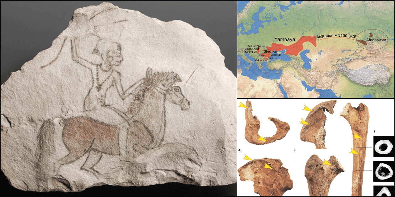 Revisiting the Roots of Horsemanship: A Critical Analysis of Early ...