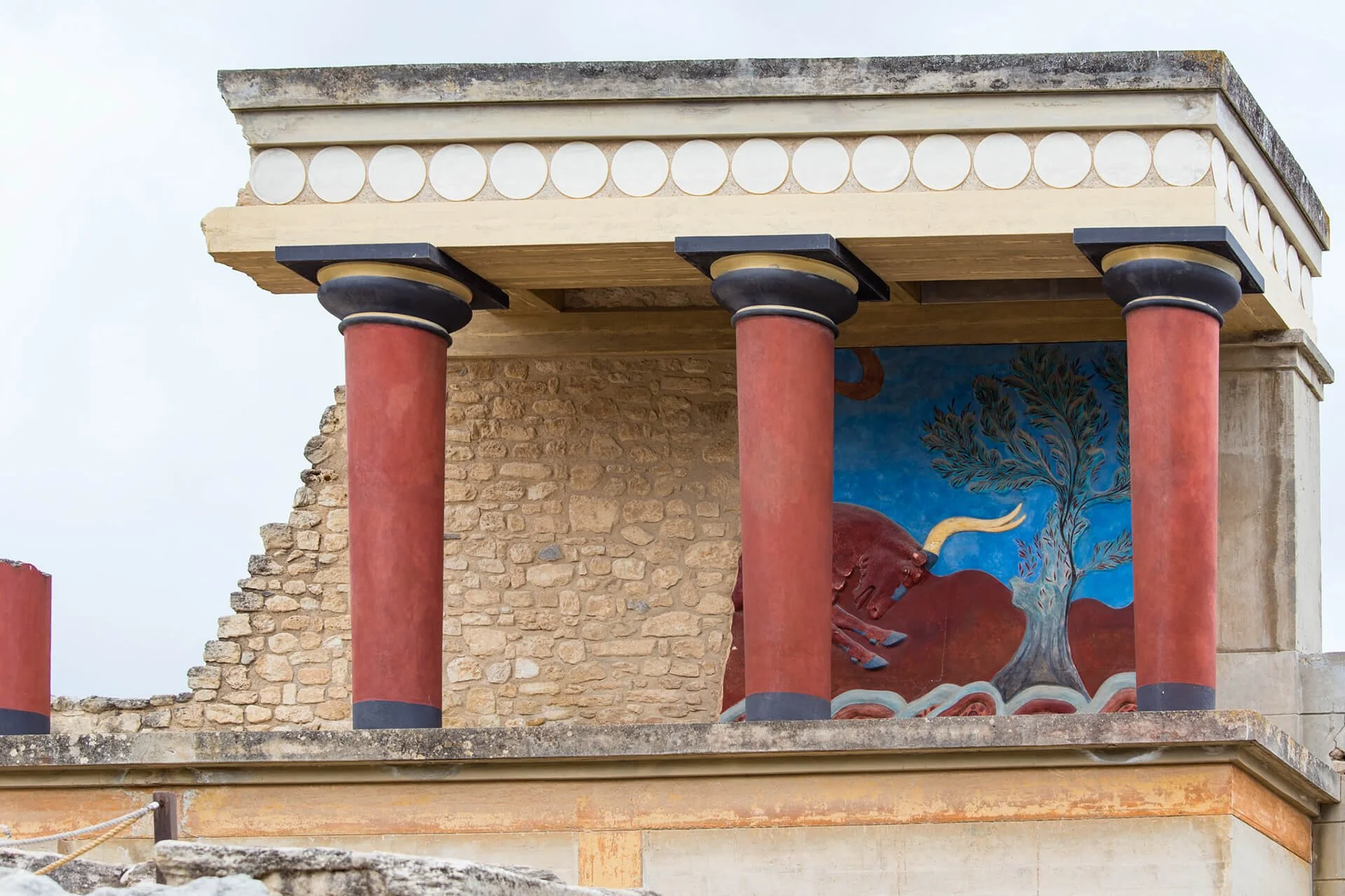 Animals That Forgot to Come Out of Hibernation