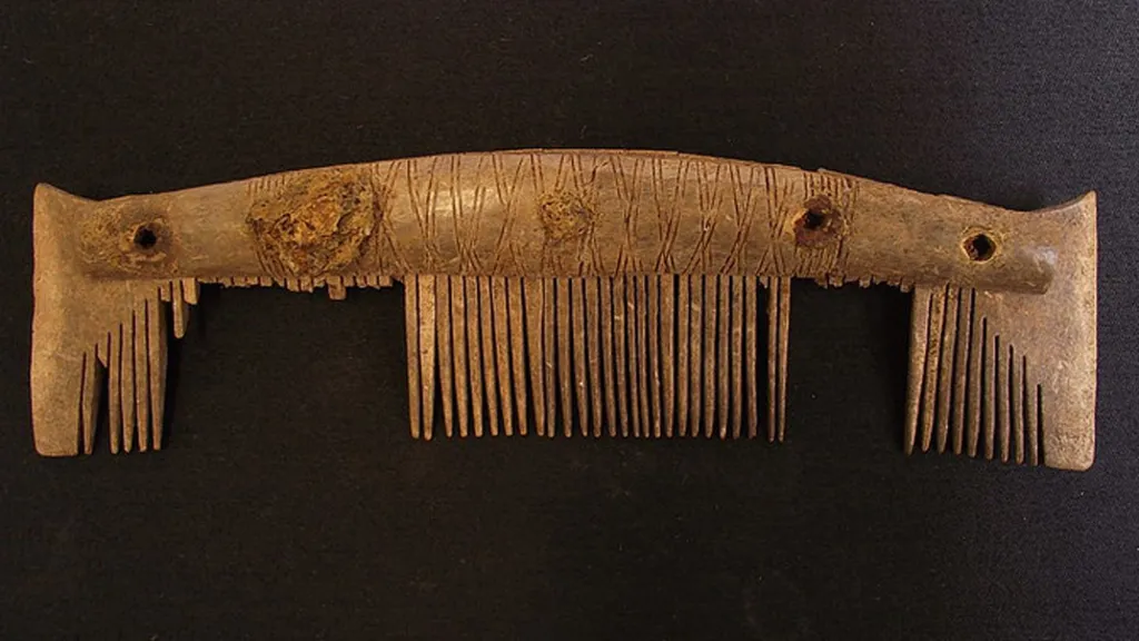 Ipswich's Medieval Significance Revealed by Remarkable Viking Combs
