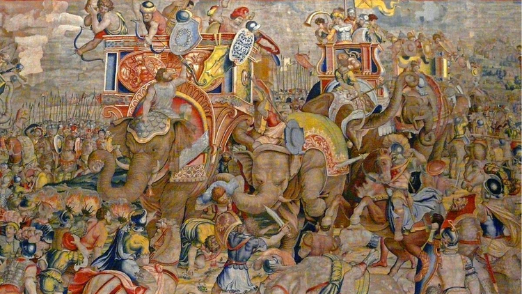 First Solid Evidence of Hannibal's Infamous War Elephants Discovered in ...