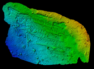 Wreckage of Large Medieval Trading Ship Discovered