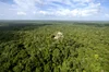 10+1 Maya Pyramids Hidden in the Yucatan Tropical Rainforests
