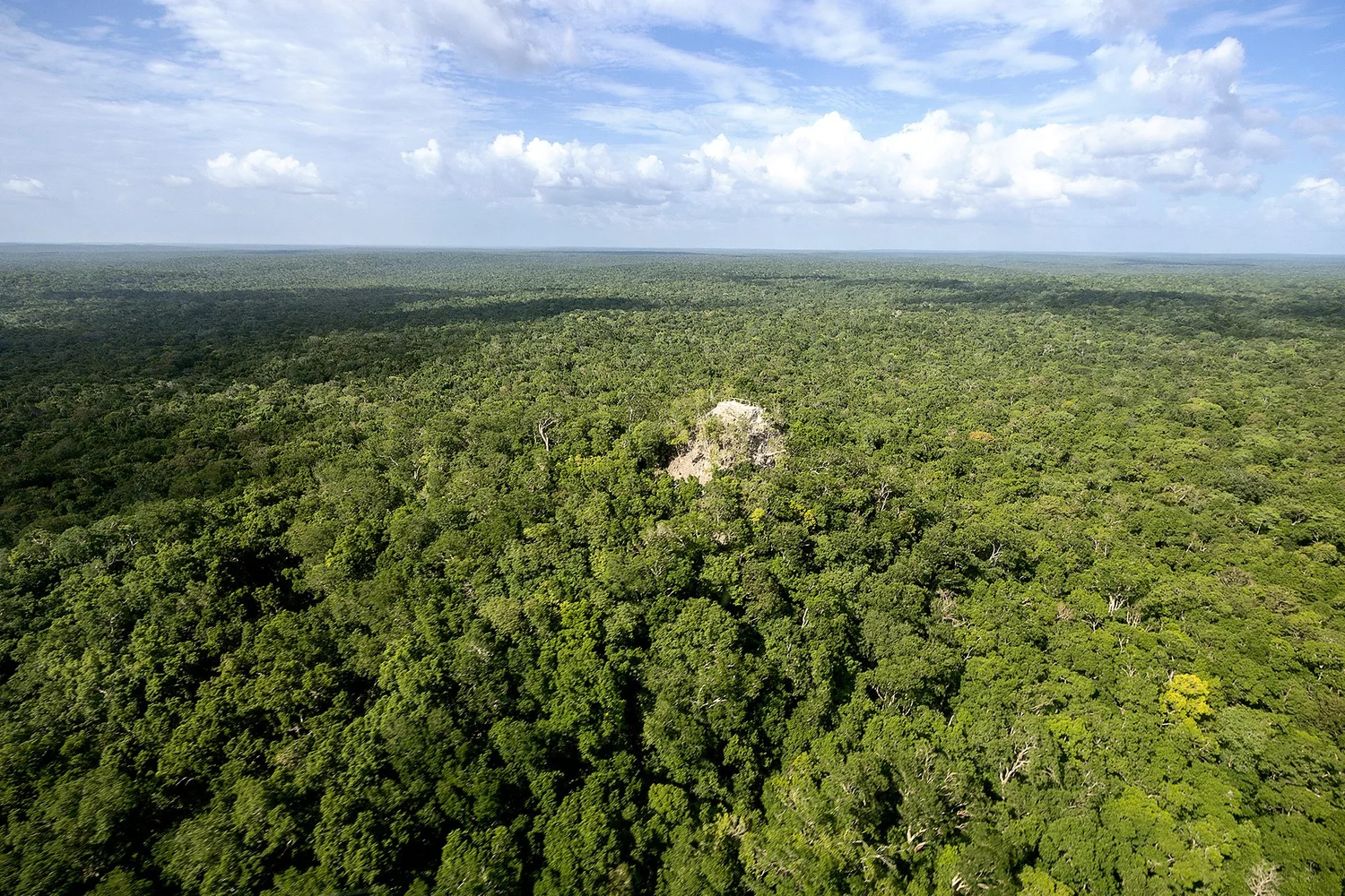 10+1 Maya Pyramids Hidden in the Yucatan Tropical Rainforests